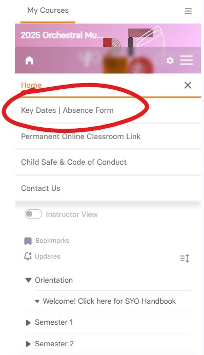 How Orchestral Musicianship Works – Sydney Youth Orchestras